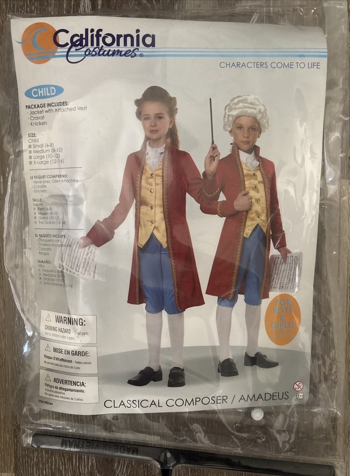 Classical Composer Wolfgang Amadeus Mozart Child Costume. Large | eBay