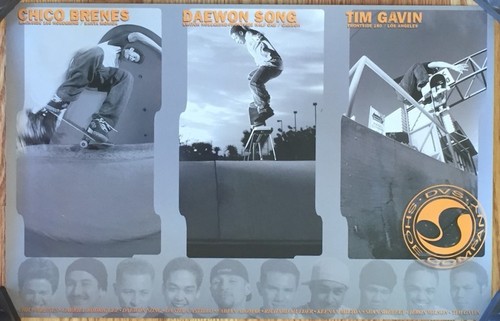 Vintage Chico Brenes Daewon Song Tim Gavin DVS Shoes Skateboard Poster ...