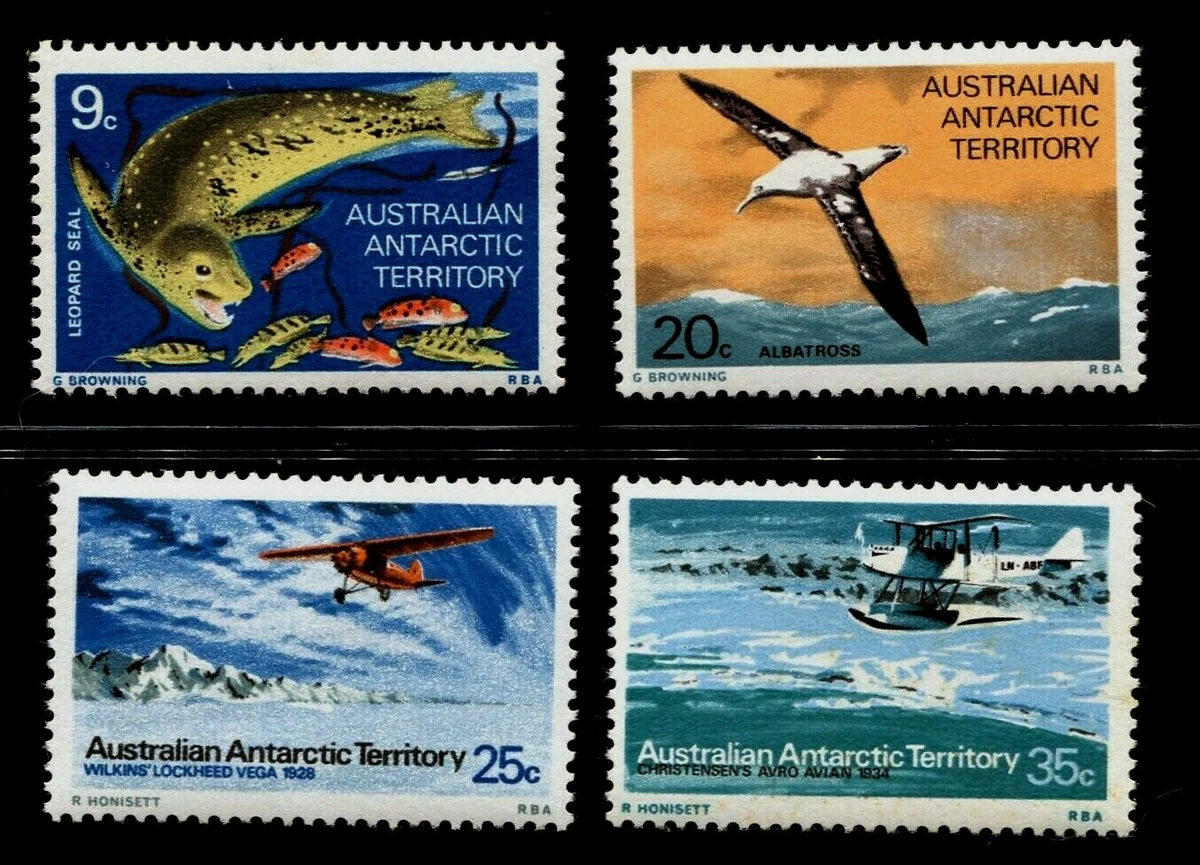 Australia Food Chain