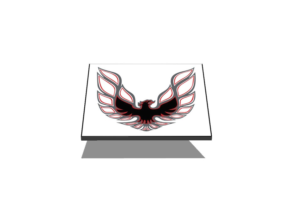 1973 1974 1975 1976 1977 1978 Pontiac Firebird Trans Am Bird name Decal ...