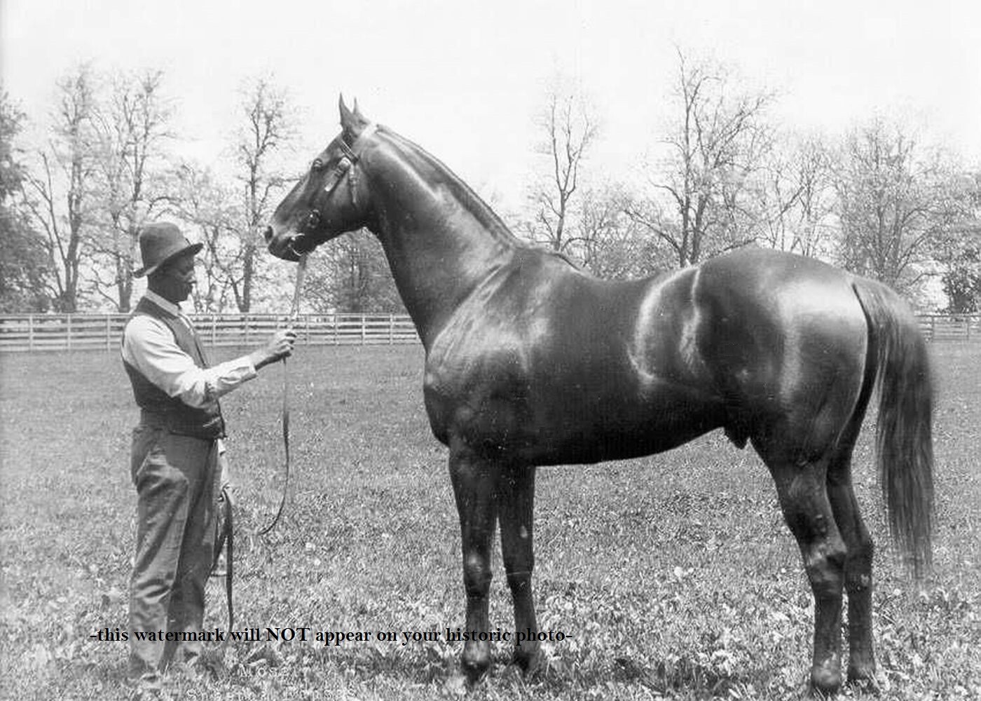 Man o War PHOTO Horse Racing Champion Belmont Stakes Preakness Race ...