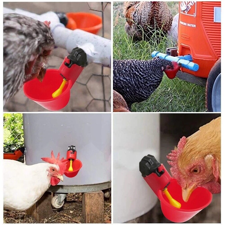 12X Automatic Cups Water Feeder Drinker Chicken Waterer Poultry Chook ...