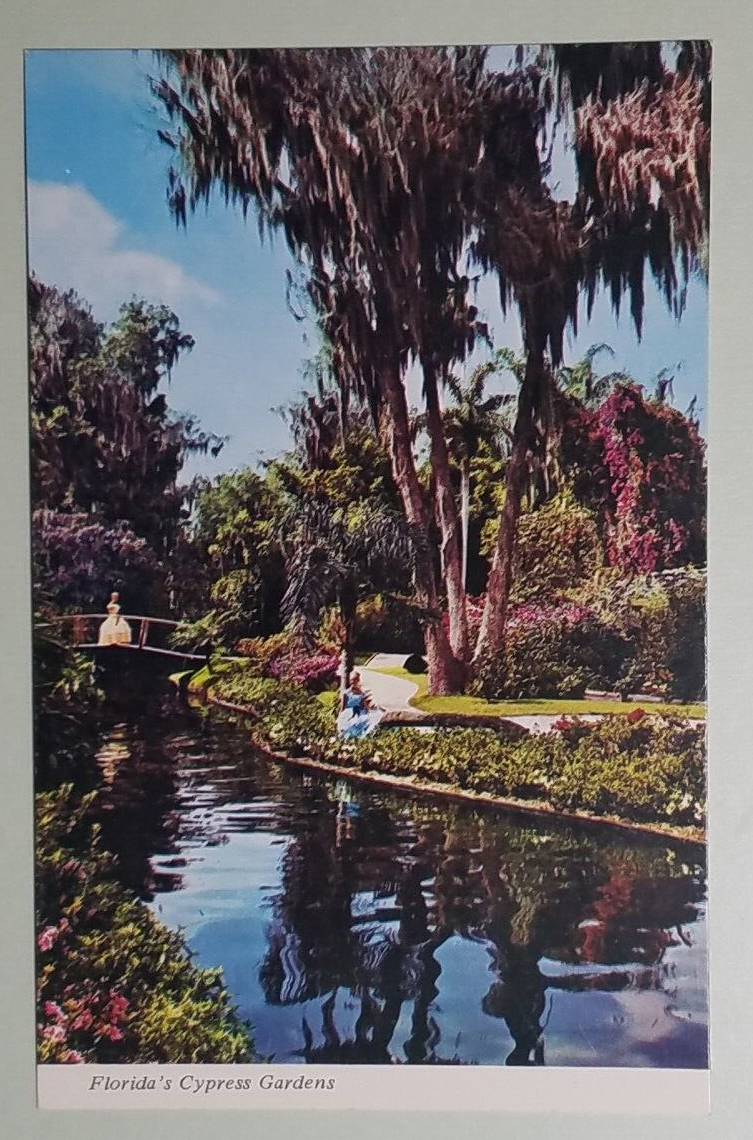 Florida's Cypress Gardens Postcard | eBay