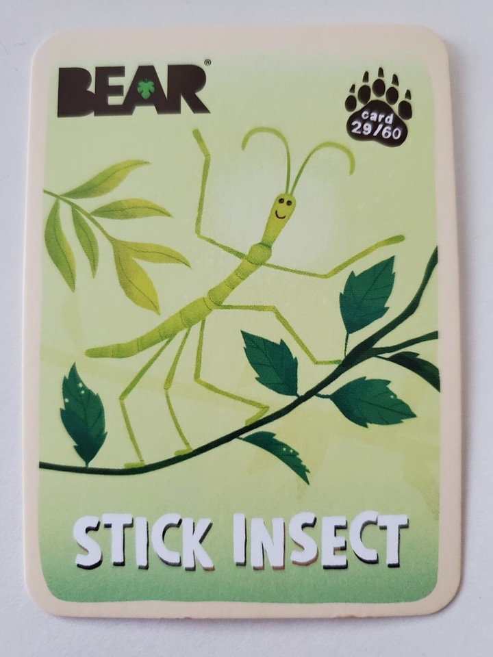 Bear's Collectible Animal Cards from Bear Fruit Rolls | eBay