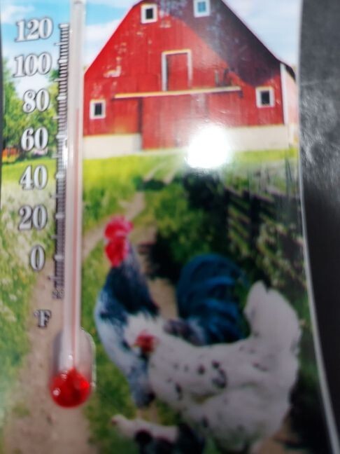 Vintage Mini Thermometer Indoor/Outdoor Featuring Chickens Acurite ...