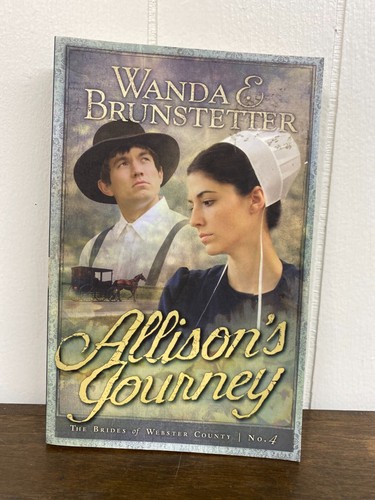 Allison's Journey by Wanda E. Brunstetter 9781597896122| eBay