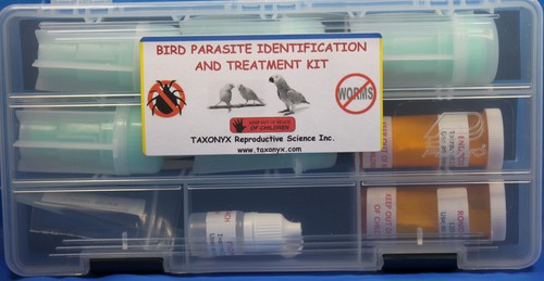 Bird Parasite Identification and Treatment Kit | eBay