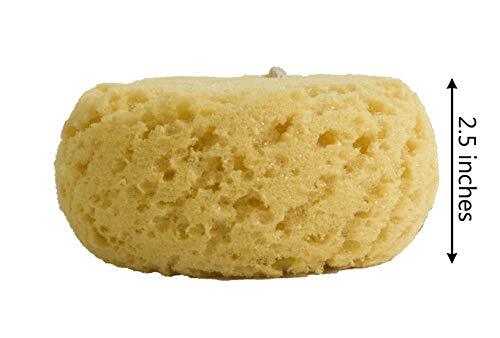 Foam Body Sponges Thick Exfoliating Bath Scrubbers For Men And Women ...