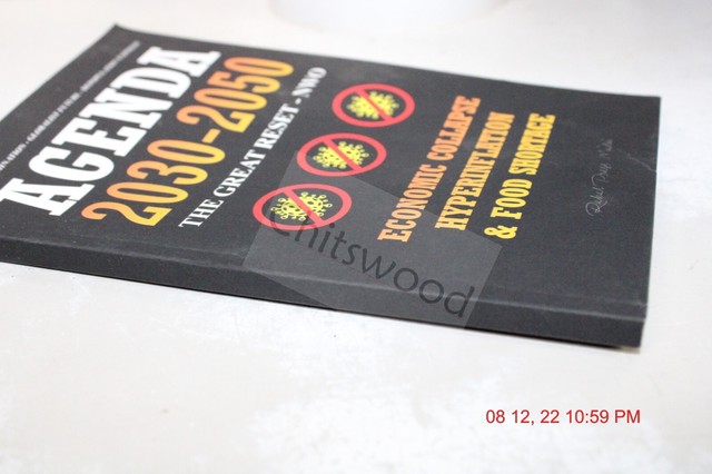 Agenda 2030-2050 The Great Reset - NWO - Economic Collapse ...