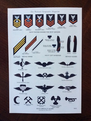 1943 vintage Original magazine illustration Navy Specialty Marks WWII ...