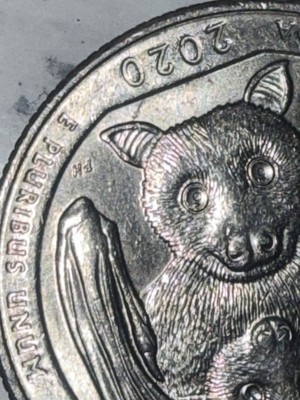 2020 Bat D Covid Quarter RARE. | eBay
