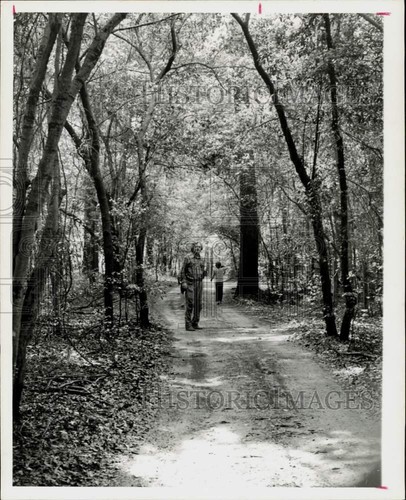 1977 Press Photo Representative Bob Eckhardt stands on road in woodsy ...