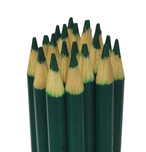 (20) Crayola Colored Pencils Single Color (GREEN) Bulk Lot Pre ...