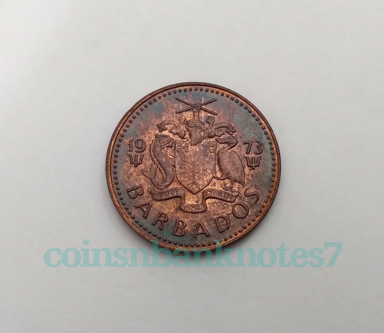 1973 Barbados 1 Cent Coin, KM10 Uncirculated with Beautiful Tone | eBay