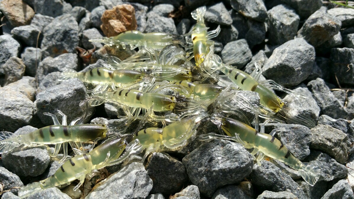 30x Soft plastic yabbie shrimp prawn lure 50mm | eBay
