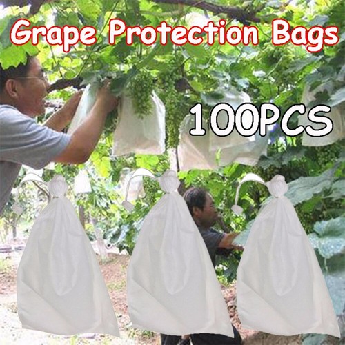 100Pcs Grape Protection Bags Fruit Vegetable Mesh Bag Against Insect ...