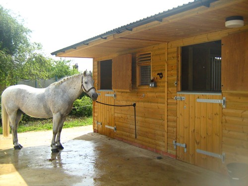 Double stable block, Timber Stables, Horses, field shelter 12x24 VA013 ...