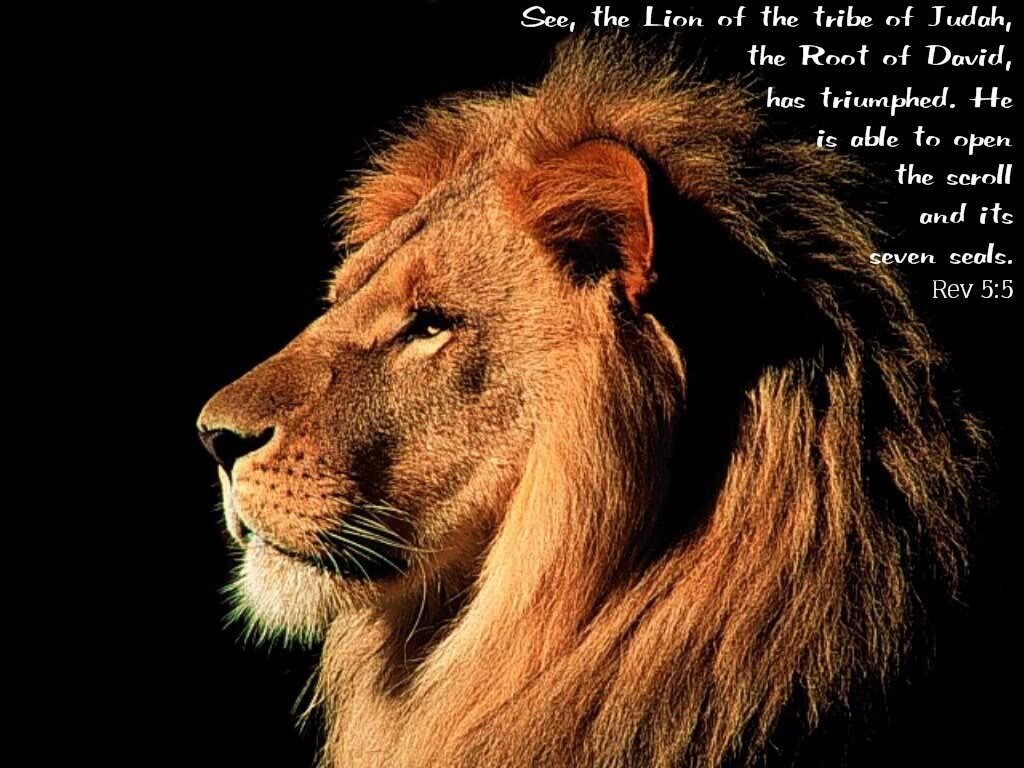 Lion Of The Tribe Of Judah Jesus Reflection On Jesus In The Lion King