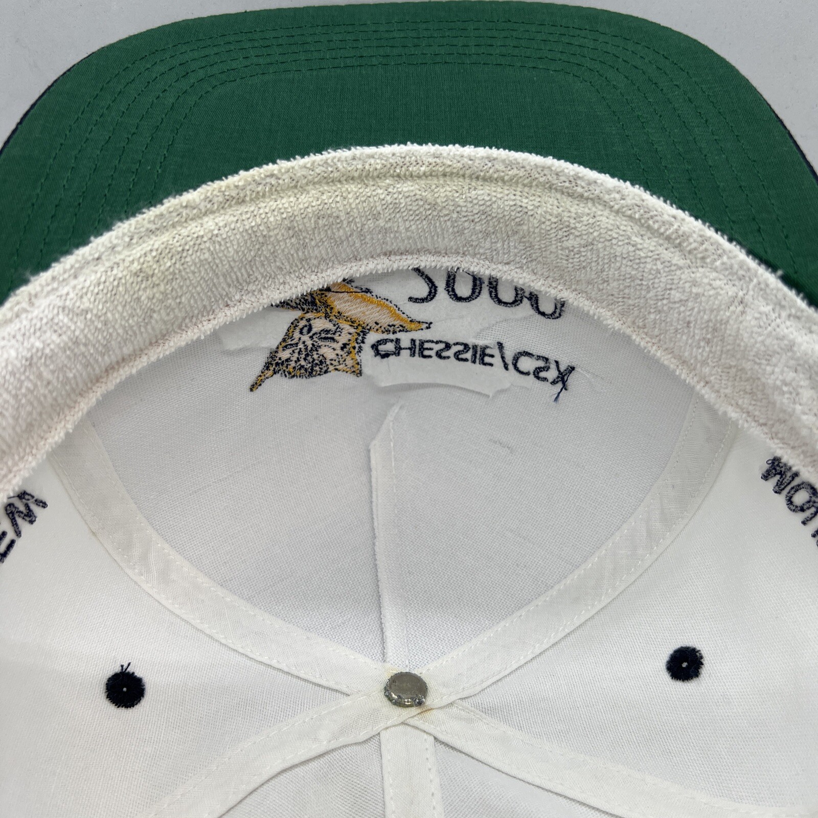 Vintage Chessie CSX 2000 Hat Cap Lake View Mountain View Train ...