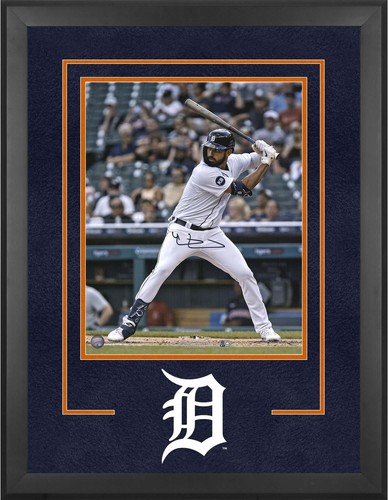 Riley Greene Detroit Tigers Deluxe Framed Signed 16" x 20" Hitting ...