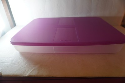 Tupperware Freezer Mate 5½“ Cups Rectangler #2096A-1 Raspberry Lid ...