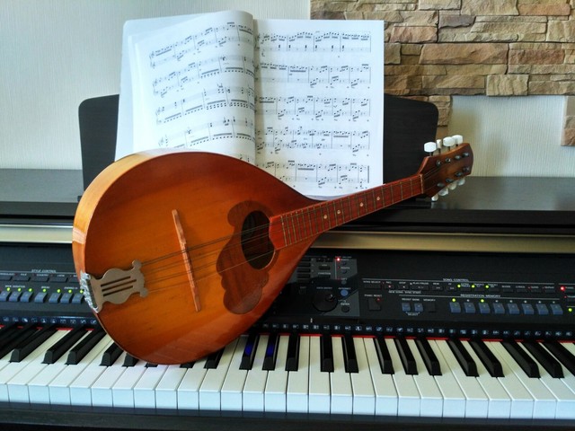 Italian stringed instruments - litreka