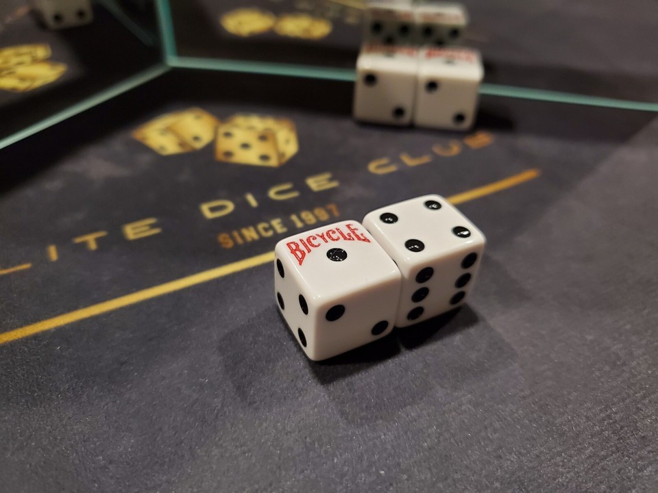 Loaded Dice Trick Dice Gaffed Dice Magic Dice Weighted Dice (6-ace ...