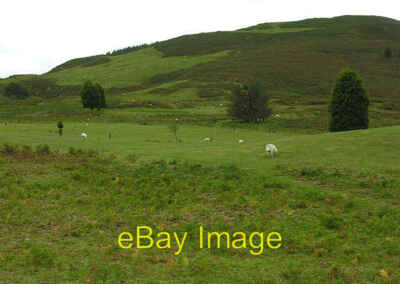 Photo 6x4 Machynlleth golf course Fairways and greens set in a bracken ...