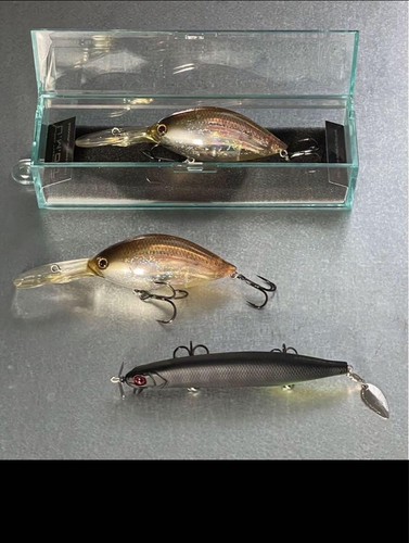 Rare Item Issei Hasgop Tsunekichi Tomu | eBay