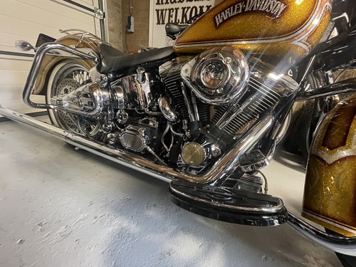 Harley-Davidson EVO V2 Logo OEM Ignition Timer Points Cover for sale ...