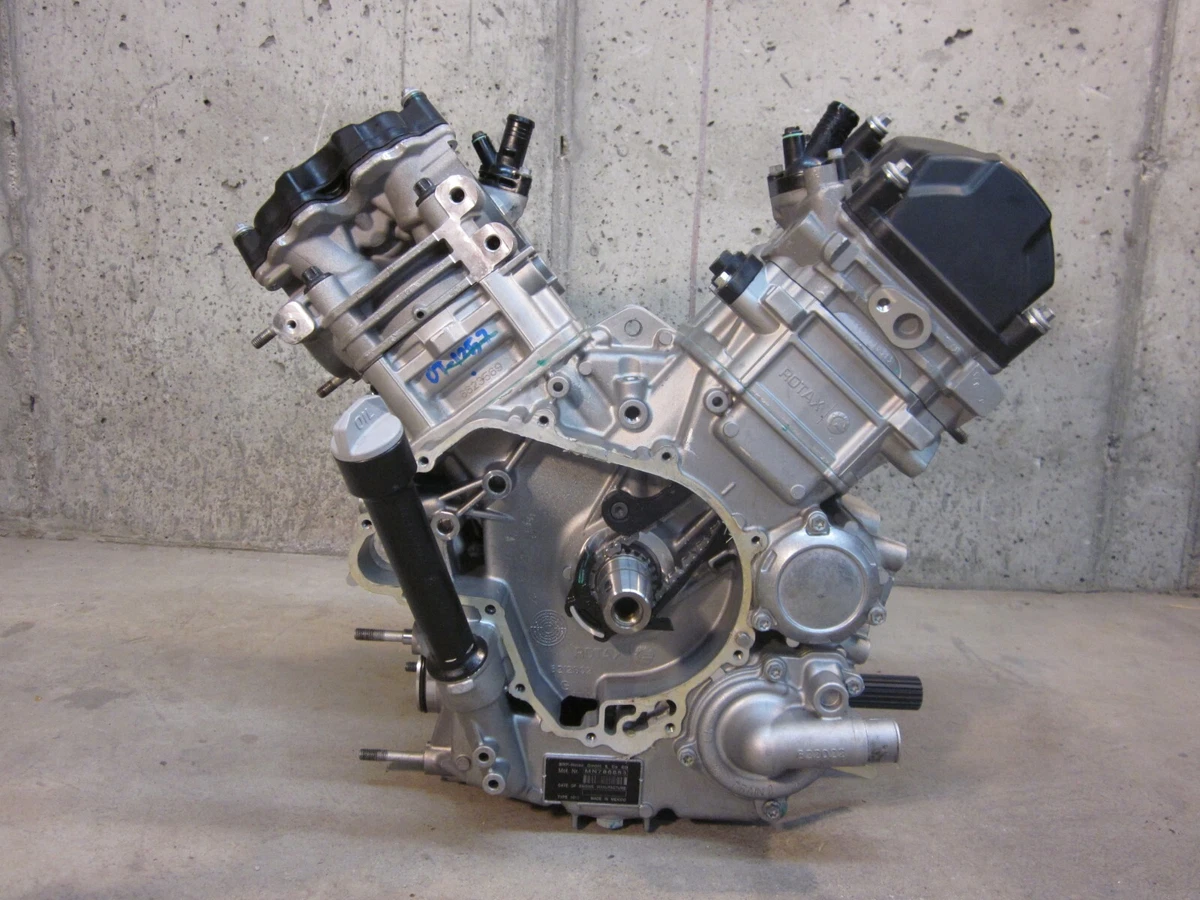 Rotax 1000 Engine