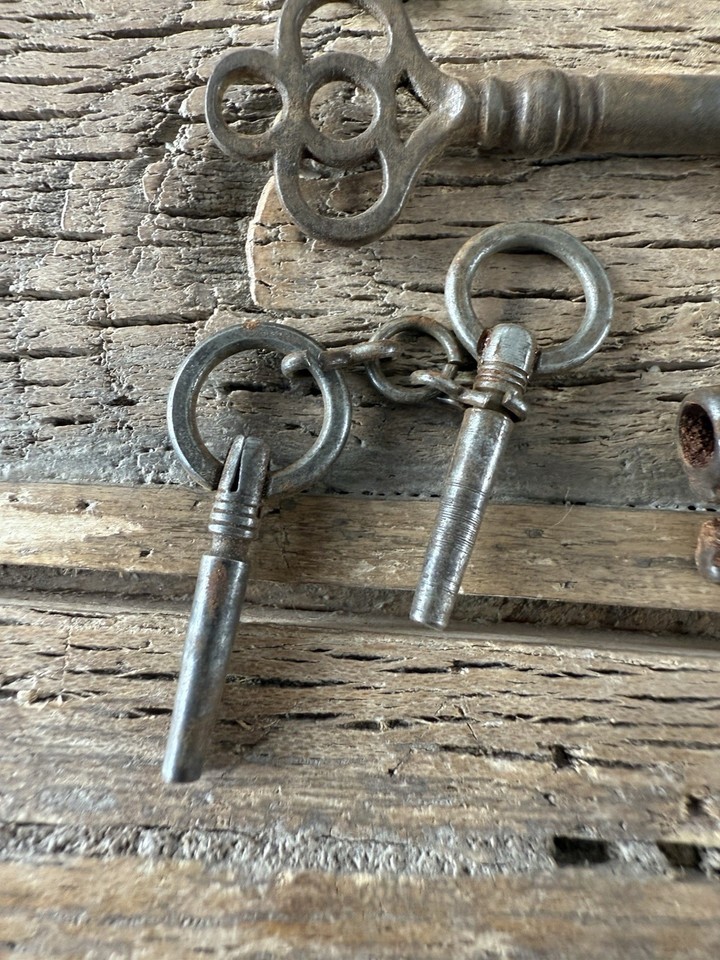 Lot Of 9 Vintage Skeleton Keys Plus One Other Very Interesting Key! | eBay