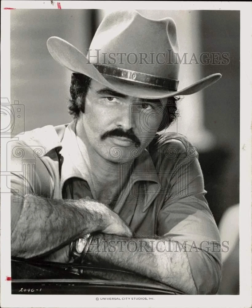 Burt Reynolds Mustache Bandit