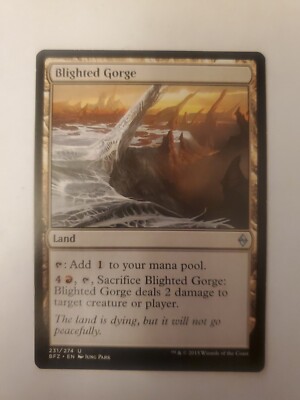 MTG Blighted Gorge Battle for Zendikar 231/274 Regular Uncommon | eBay