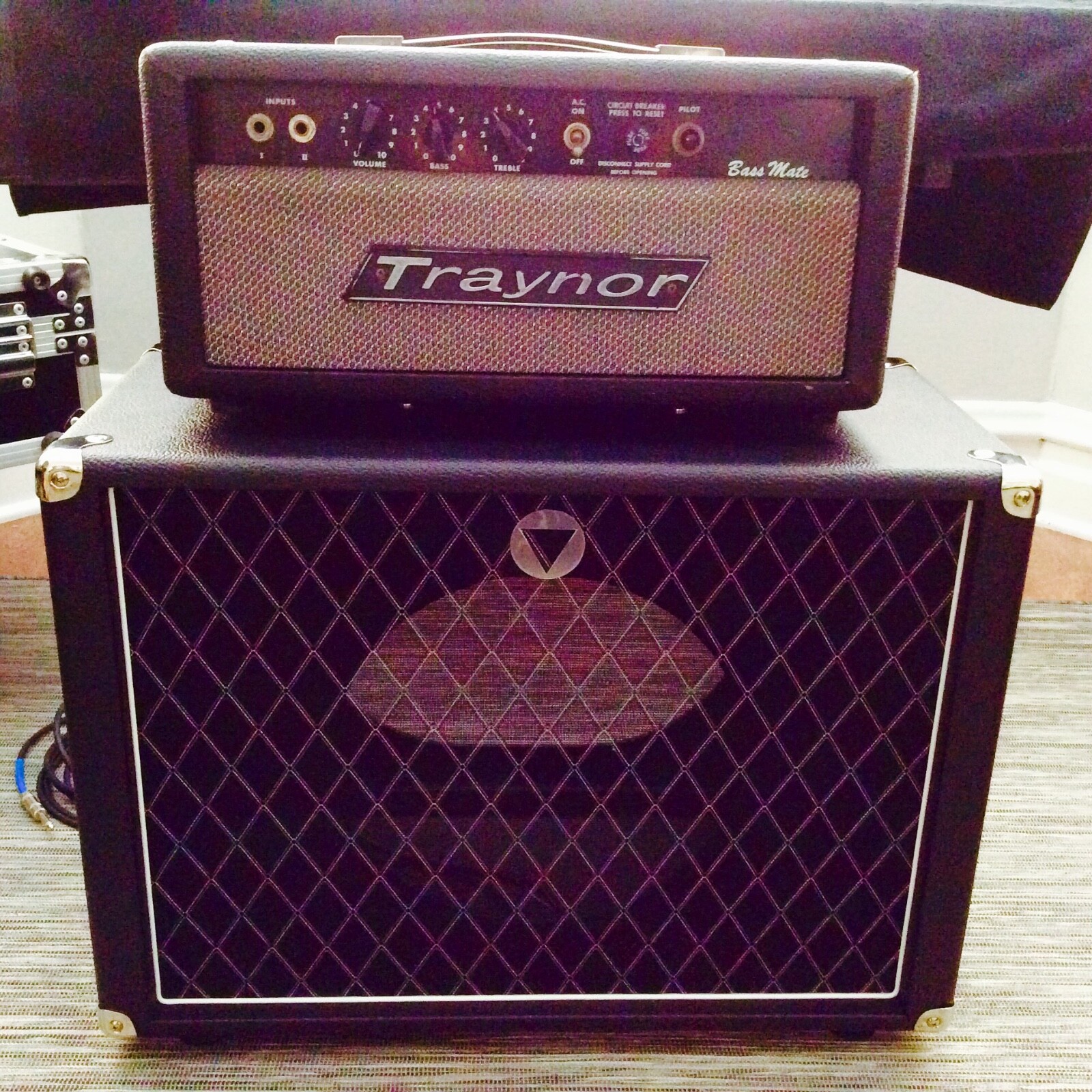 Traynor YBA-2A Head EL84 version-RARE | eBay