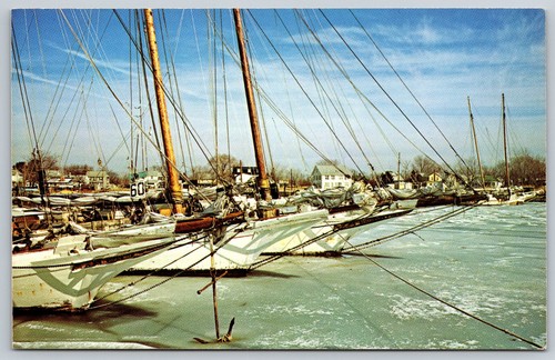 Postcard Chesapeake Bay Skipjacks Icebound Tilghman Island, MD G7 | eBay