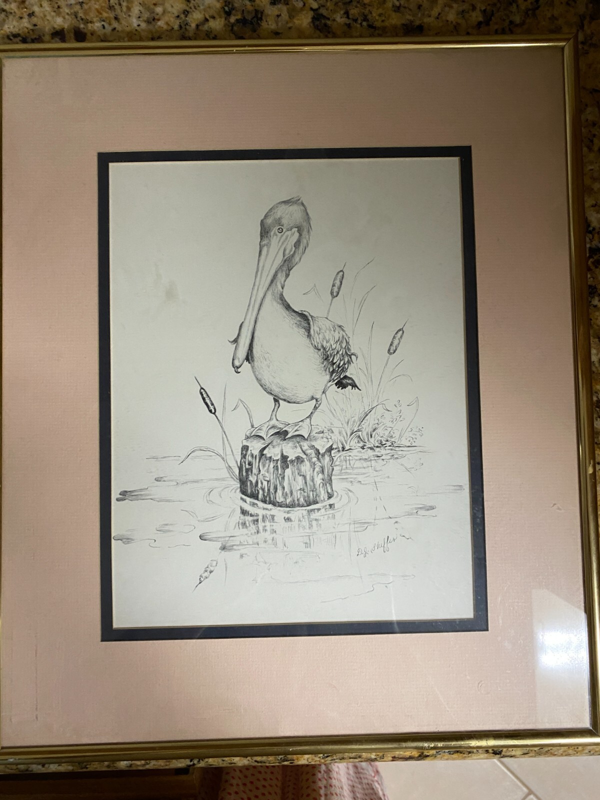 Beautiful Vintage Artist D. J. Sheffer Signed Drawing of Pelican 13" X ...
