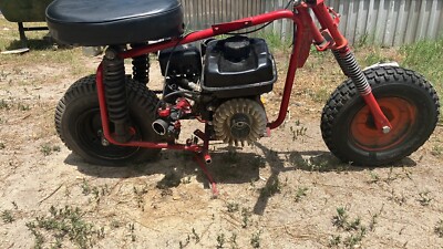 Minibike With 224cc Predator Engine Max Performance With Racing Nibbi ...