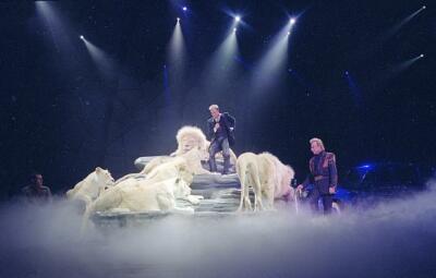 Siegfried & Roy,Mirage Hotel,Las Vegas,Nevada,NV,White Tigers ...