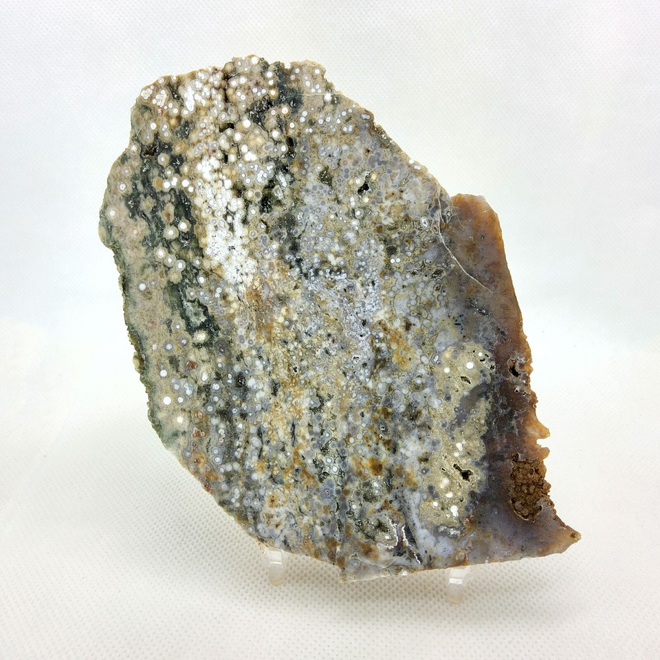 Ocean Jasper, slab, cabbing rough, lapidary, gemstone, rough, orbs, #R ...