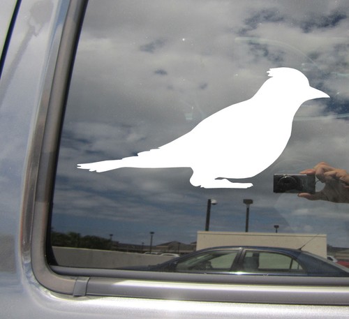 Blue Jay Bird - North America Car Laptop Bumper Window Vinyl Decal ...
