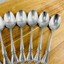 Oneida ARBOR ROSE TRUE ROSE 8 Soup Spoons Stainless Steel Flatware | eBay