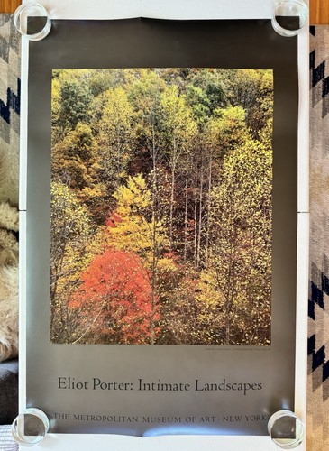 Eliot Porter Colorful Trees Poster print 22x34 Great Smoky Mountains ...
