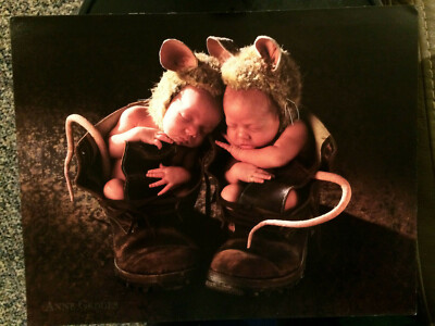Anne Geddes - FIELD MICE - Babies in Boots - Twins - Beautiful - 11" x ...