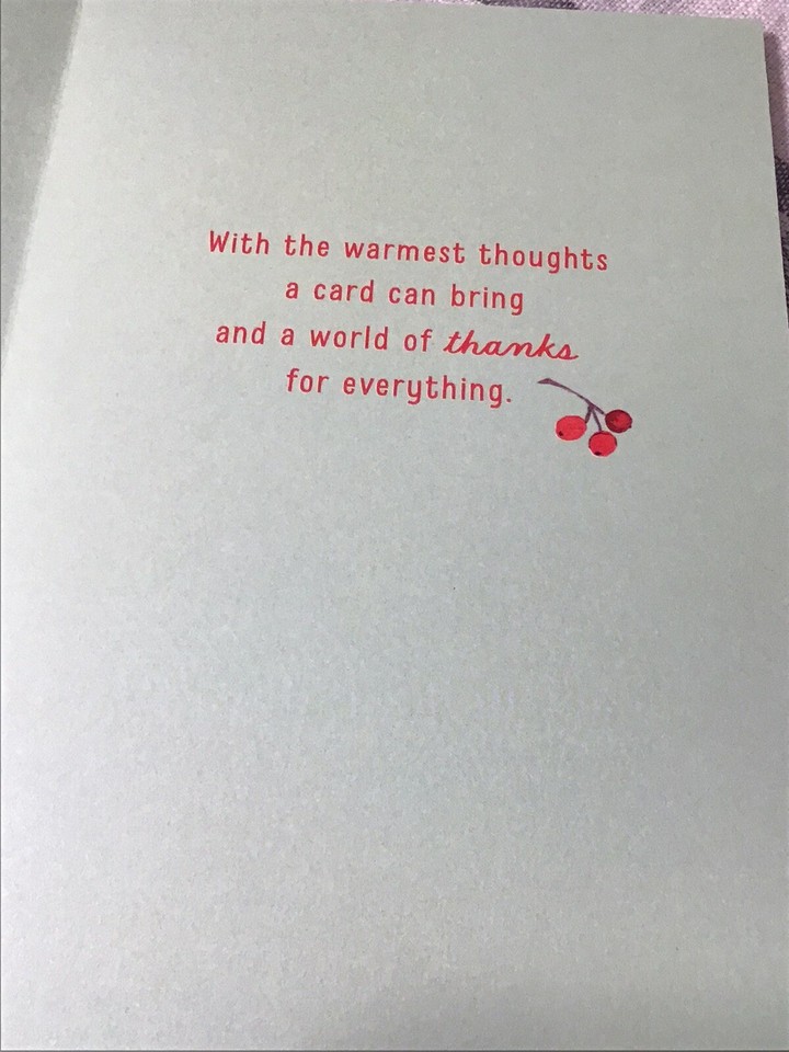 3 Hallmark Thank You Christmas Appreciation Card Cards Anyone 8x5.25 ...
