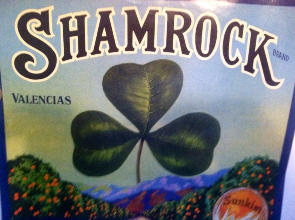 Original VTG Shamrock Brand Fruit Crate Label Sunkist Orange County ...