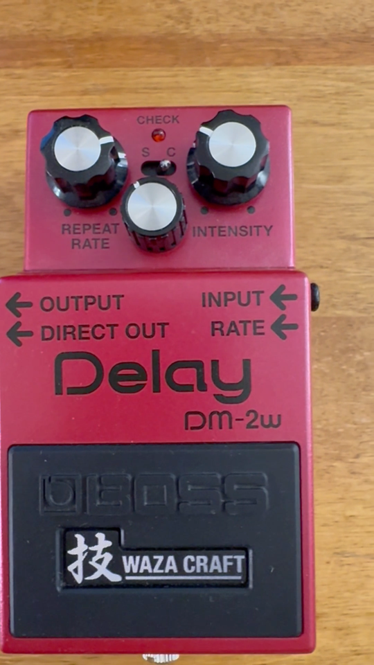 Boss DM-2W Analog Delay Waza Craft Pedal Bucket Brigade Delay Machine ...