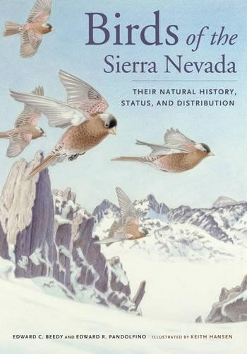 Ed Pandolfino Ted Beedy Birds of the Sierra Nevada (Hardback ...