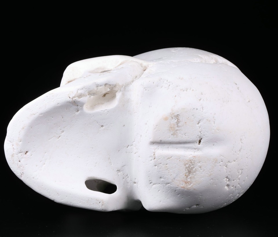 Huge 5.0" Howlite Carved Crystal Skull, Realistic, Crystal Healing | eBay