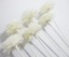 Artificial Gerbera Dried Flower Diffuser Nice Wedding Fragrance ...